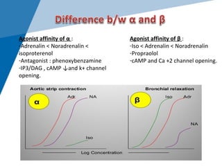 5.adrenergic drugs | PPT