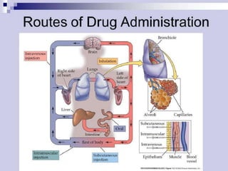 5.routes of drug administration | PPTX