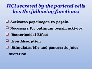 Gastric secretion | PPT