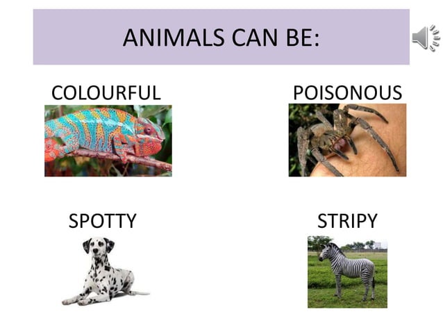Animal Descriptions | PPT