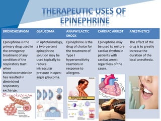 5.adrenergic drugs | PPT