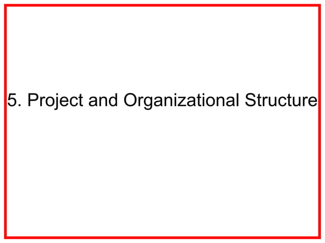 05. Project And Organizational Structure | PPT