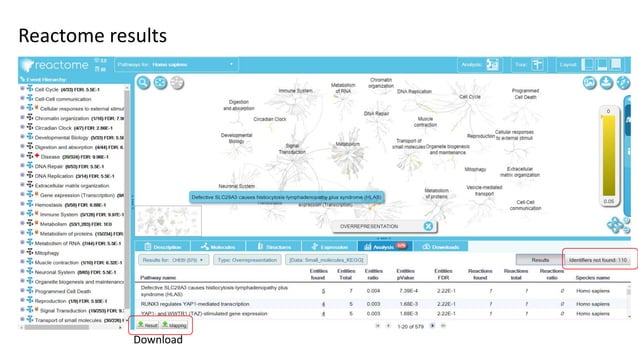 Mapping Metabolites Against Pathway Databases Pptx