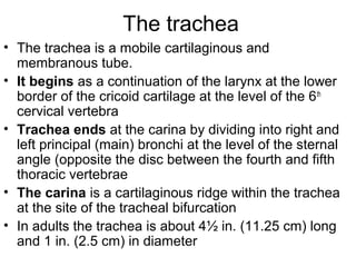 5-180318203124.pdf