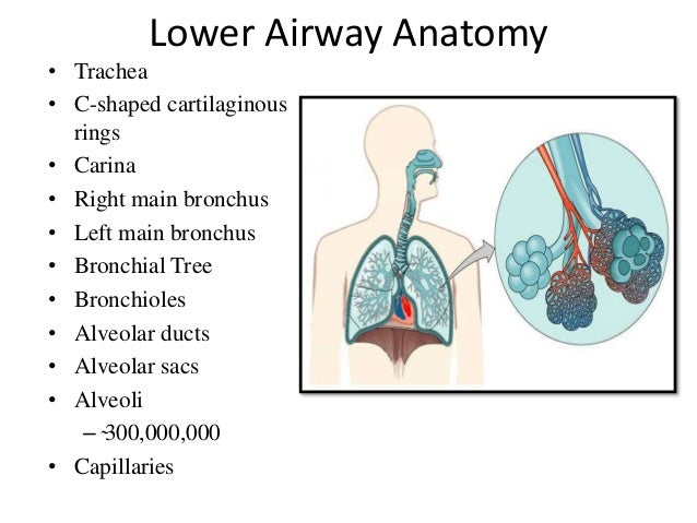Endotracheal intubation in oral & maxillofacial surgery