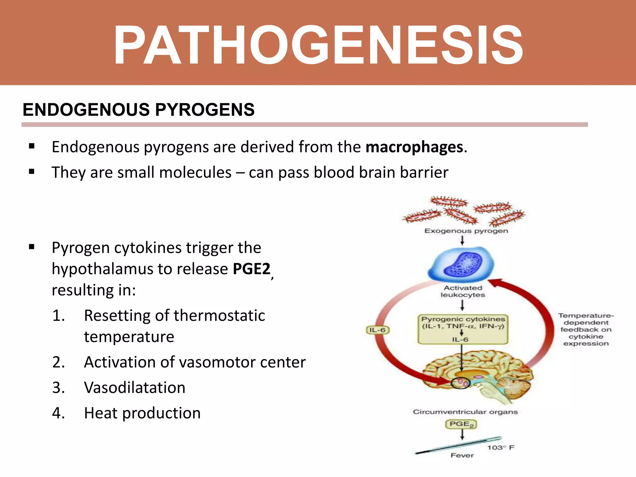 Pyrexia of unknown origin (PUO) | PPTX