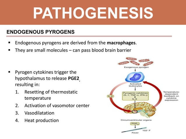 Pyrexia of unknown origin (PUO) | PPTX | Infectious Diseases | Diseases ...