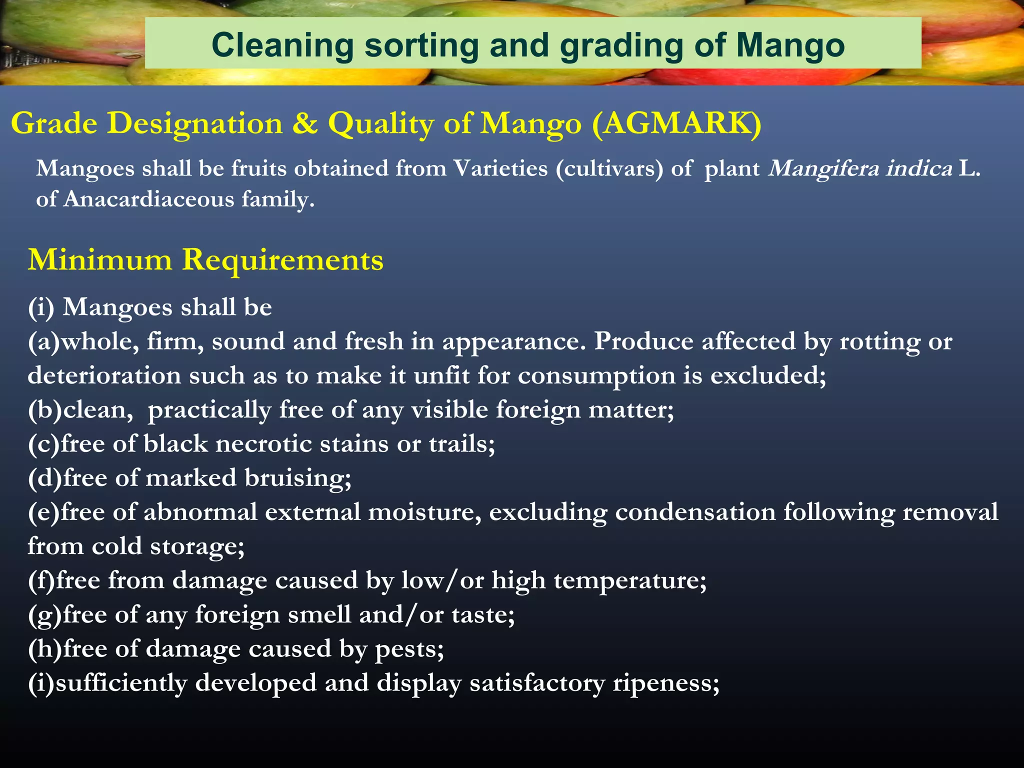 cleaning, sorting and grading of mango 1 | PPT