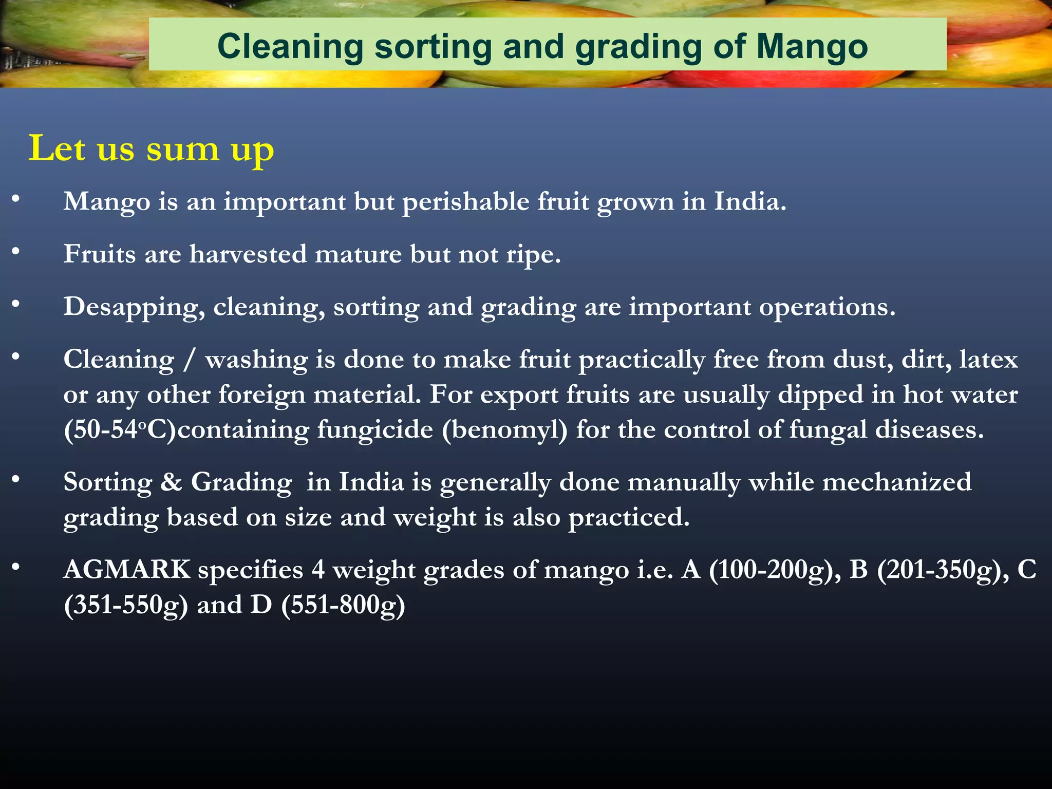 cleaning, sorting and grading of mango 1 | PPT