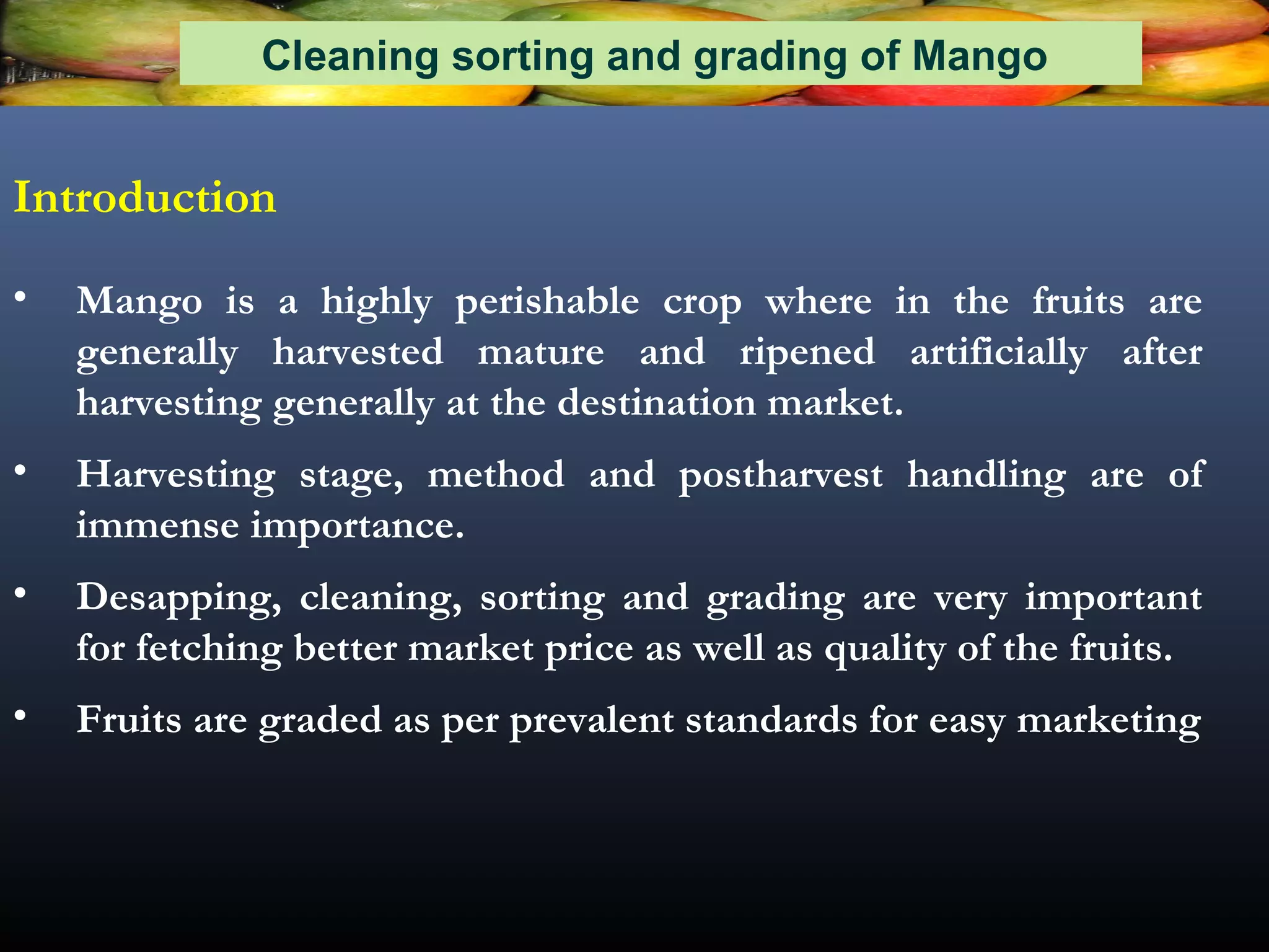 cleaning, sorting and grading of mango 1 | PPT