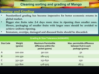 cleaning, sorting and grading of mango 1 | PPT
