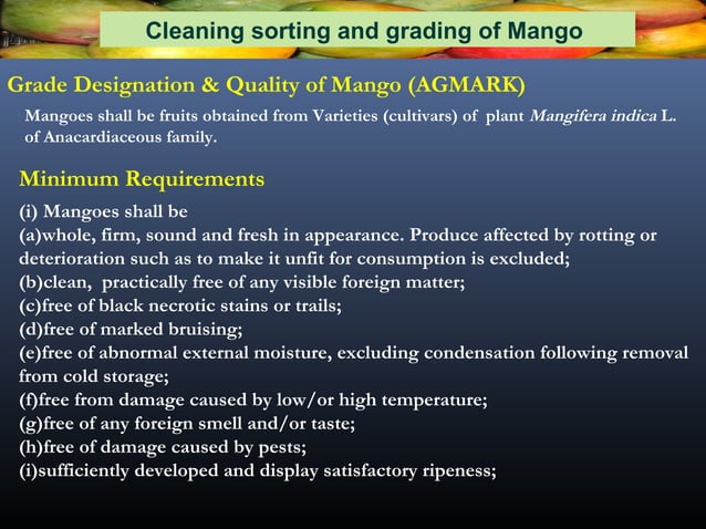 cleaning, sorting and grading of mango 1 | PPT