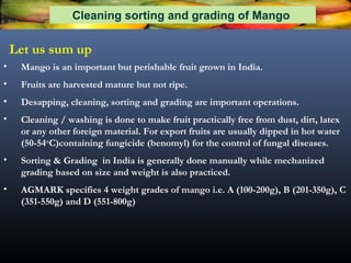cleaning, sorting and grading of mango 1 | PPT