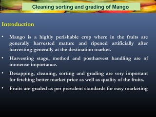 cleaning, sorting and grading of mango 1 | PPT