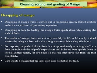cleaning, sorting and grading of mango 1 | PPT