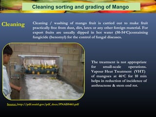 cleaning, sorting and grading of mango 1 | PPT