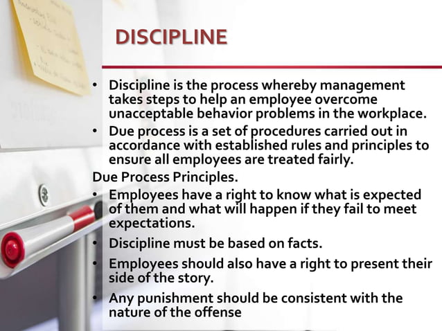 Discipline and Grievance Procedures | PPTX | Careers