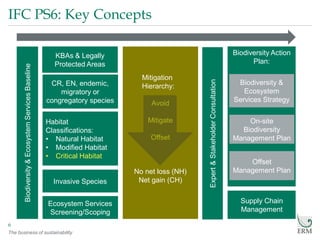 5. Biodiversity Assessment and the Extractives Sector | PDF