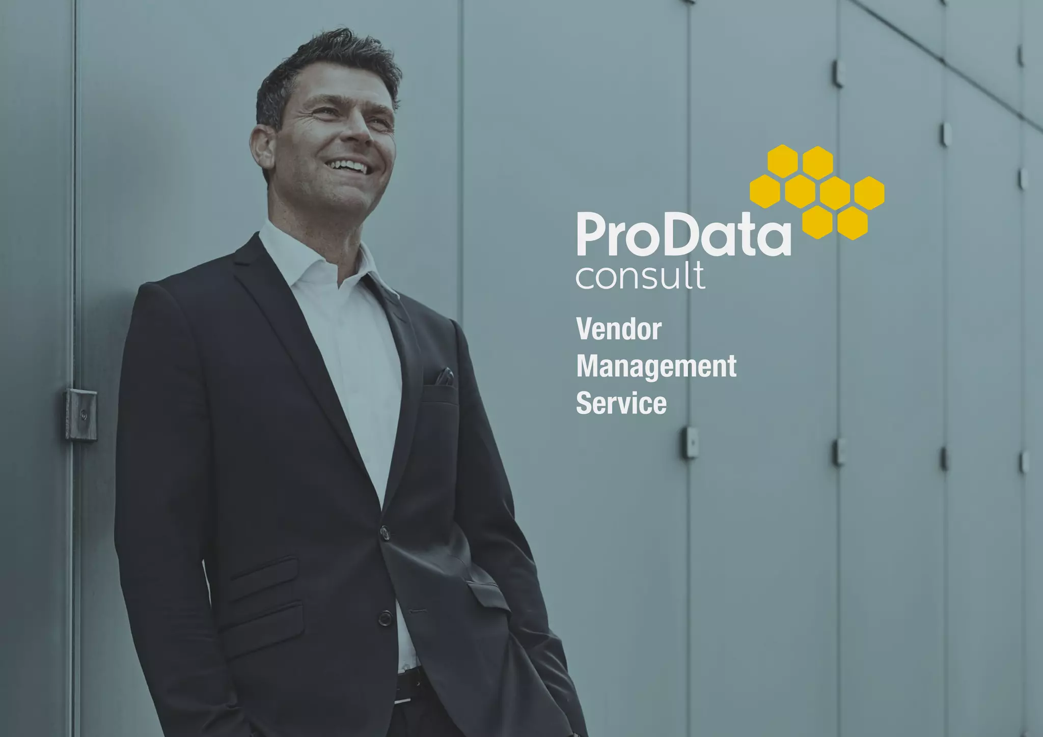 Vendor Management System - ProData Consult | PDF