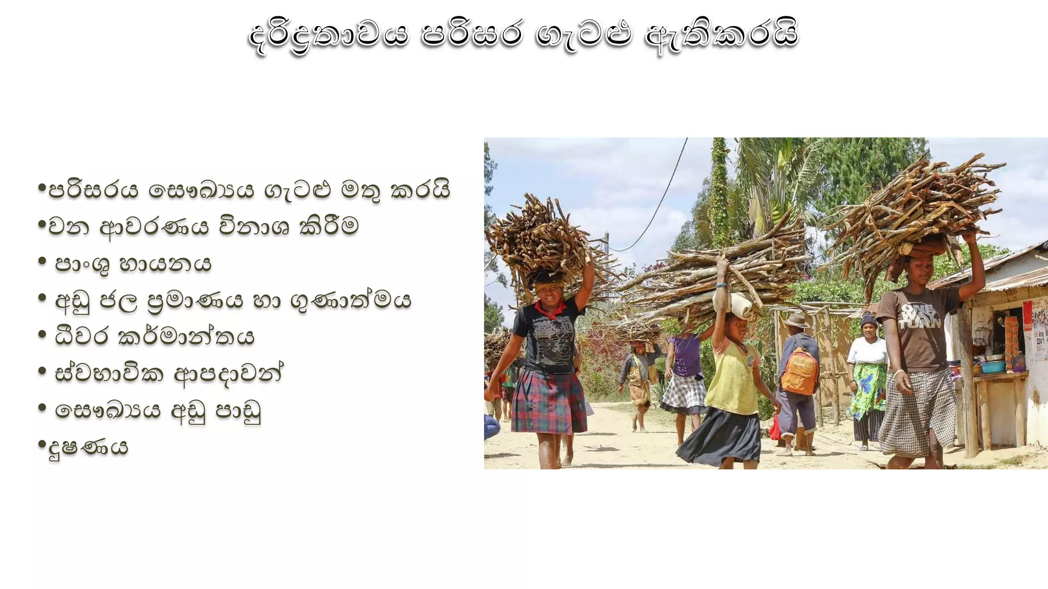 5. Environment and poverty nexus (Sinhala) | PDF