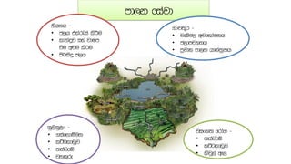 5. Environment and poverty nexus (Sinhala) | PDF