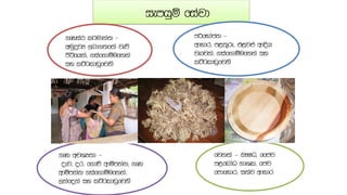 5. Environment and poverty nexus (Sinhala) | PDF