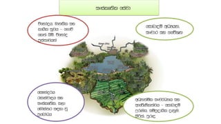 5. Environment and poverty nexus (Sinhala) | PDF