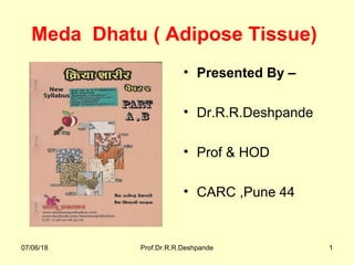 Meda dhatu | PDF