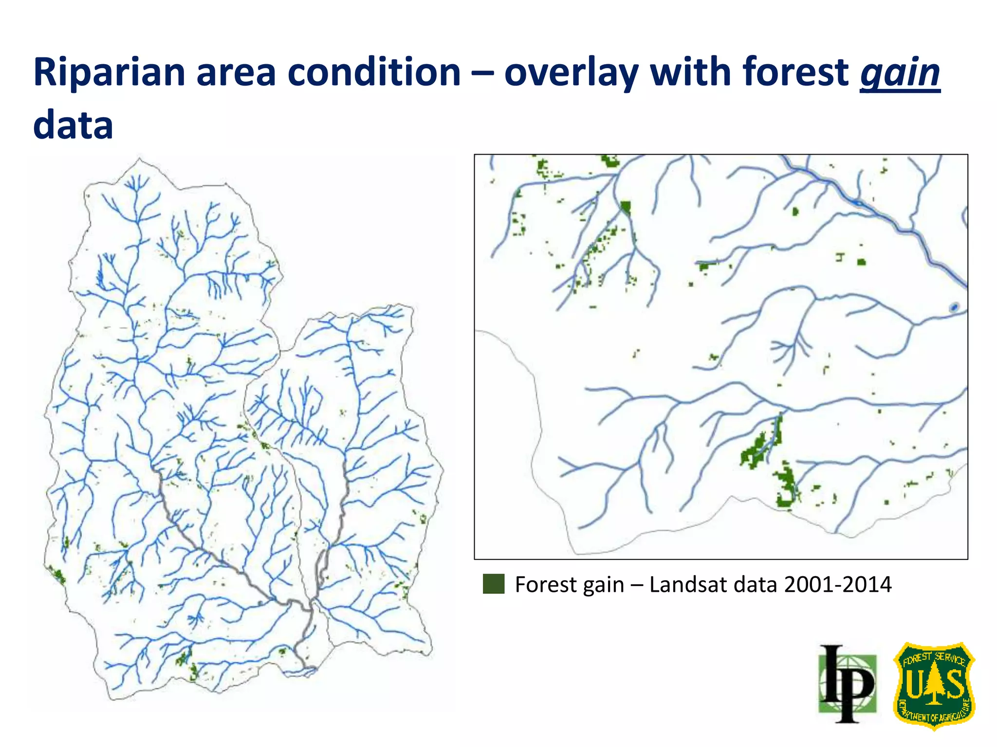 5. riparian vegetation | PPT