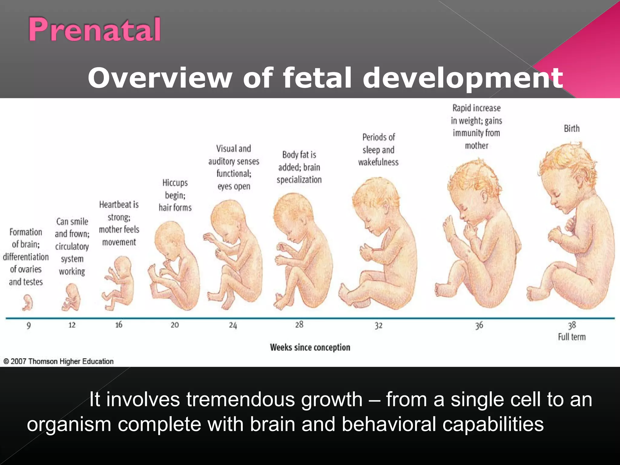 Module 3: Developmental Stages in Middle and Late Adolescence | PPT