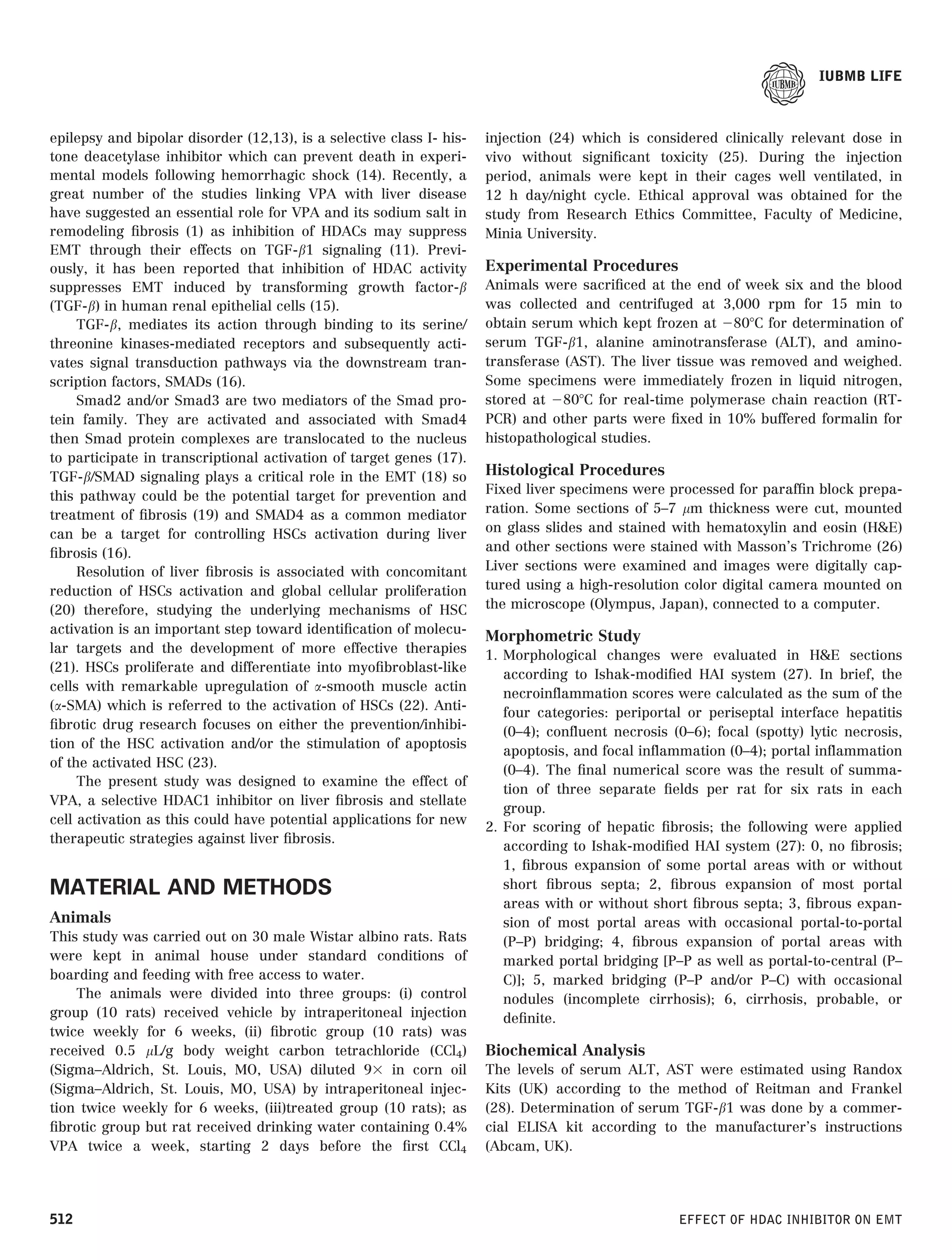 5. ramzy et al-2018-iubmb_life | PDF