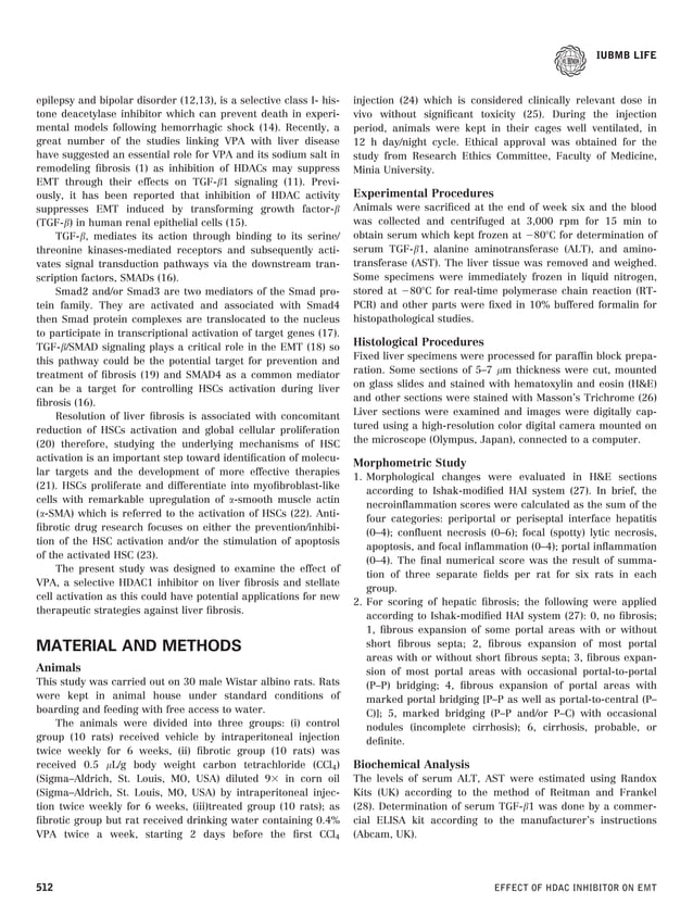 5. ramzy et al-2018-iubmb_life | PDF