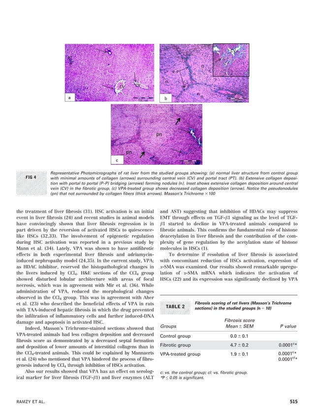 5. ramzy et al-2018-iubmb_life | PDF