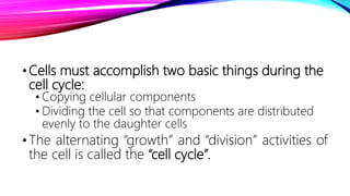 The Cell Cycle - Mitosis | PPTX