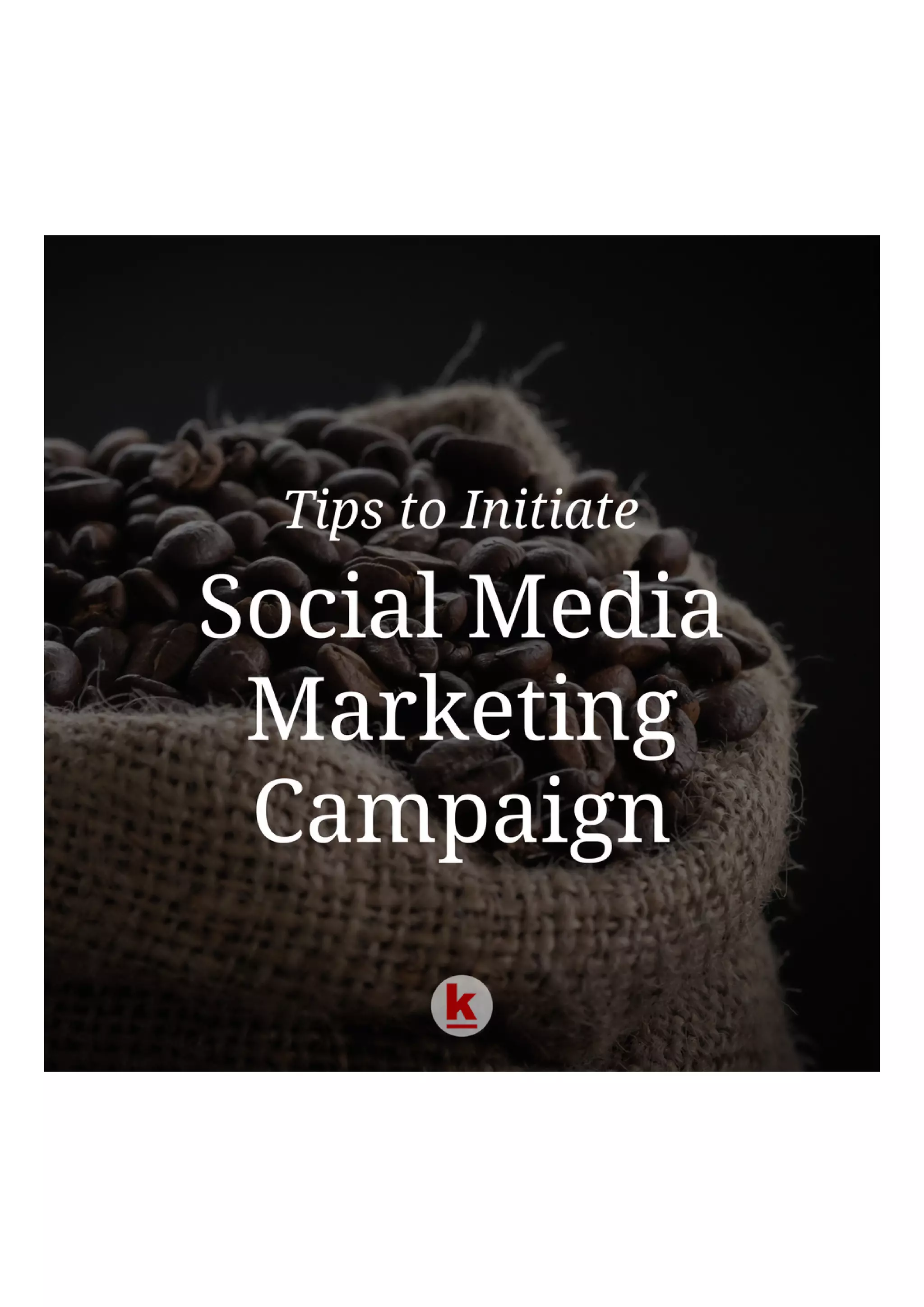 4 Tips to Initiate Social Media Marketing Campaign | PDF