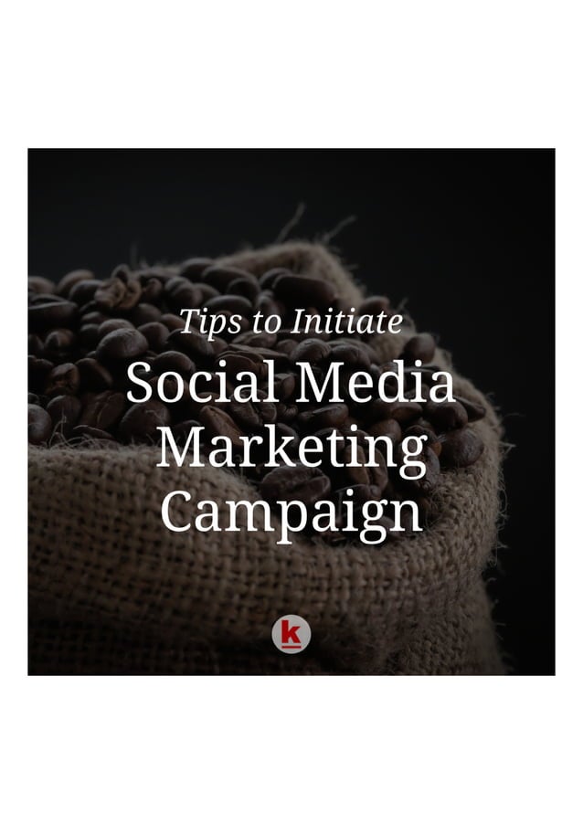 4 Tips to Initiate Social Media Marketing Campaign | PDF