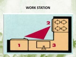 5. understanding the basic kitchen layout | PPTX