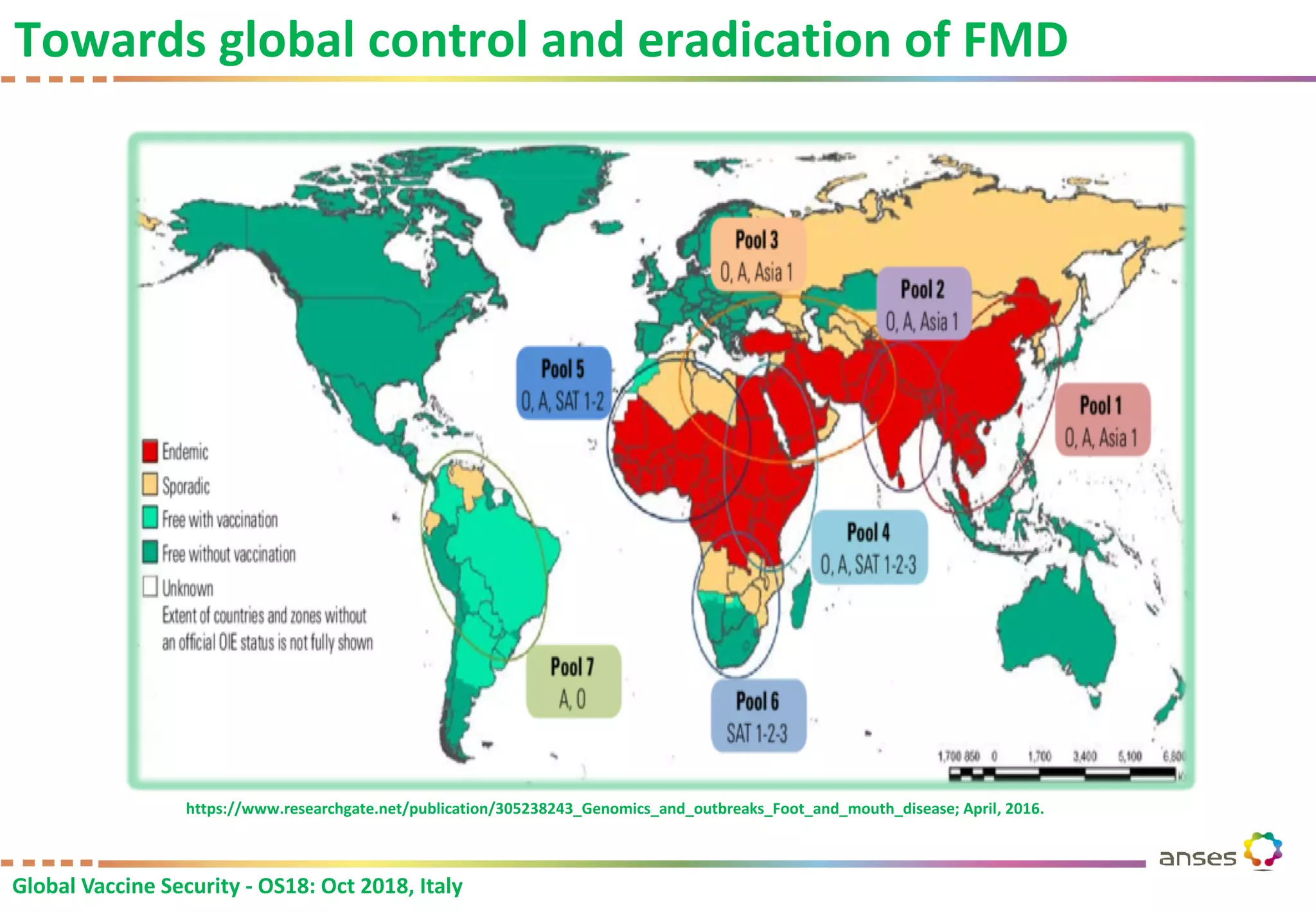 Rapid, on site, diagnosis of FMD and safe and cost-effective shipment ...