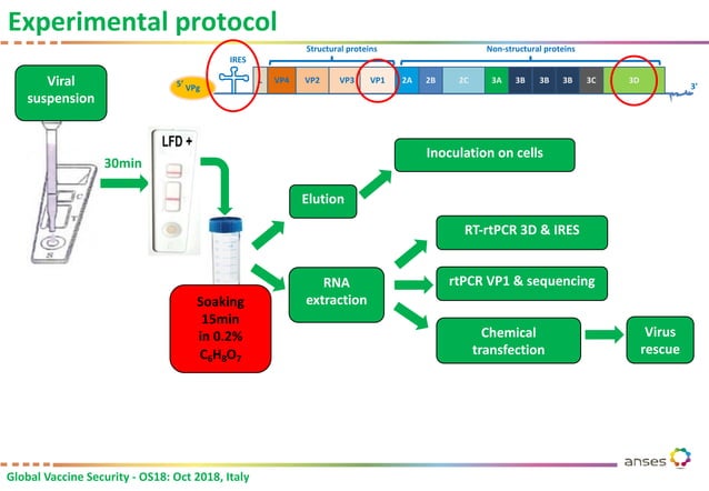 Rapid, on site, diagnosis of FMD and safe and cost-effective shipment ...