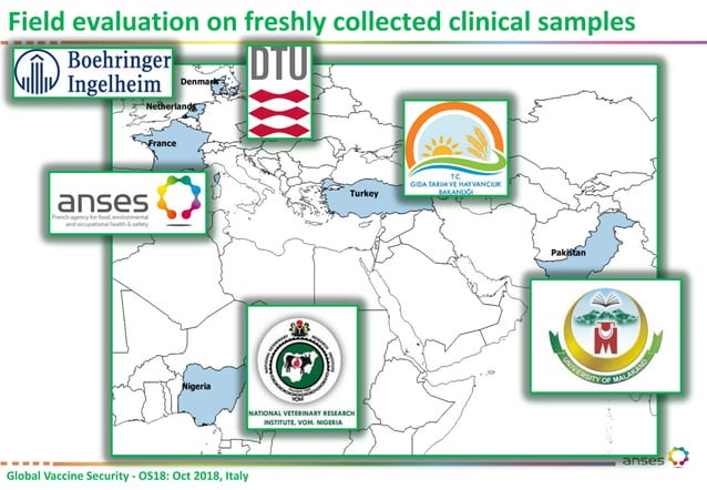 Rapid, on site, diagnosis of FMD and safe and cost-effective shipment ...
