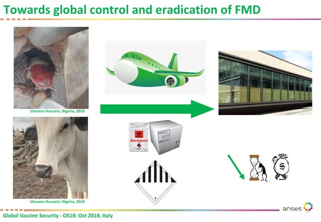 Rapid, on site, diagnosis of FMD and safe and cost-effective shipment ...