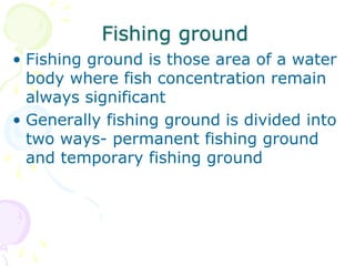 Fishing Ground of Bay of Bengal | PPTX