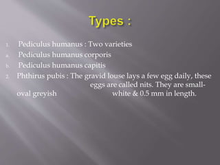 5. Scabies and pediculosis | PPTX