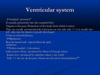 Radiological anatomy & Techniques of the Ventricular system | PPT