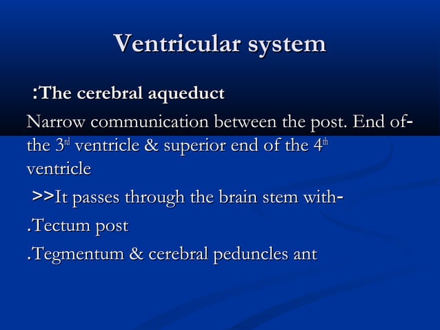 Radiological anatomy & Techniques of the Ventricular system | PPT | Brain and Nervous System ...