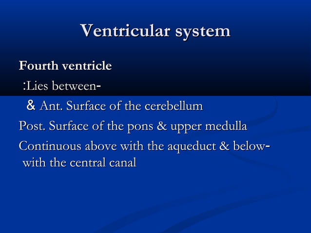 Radiological anatomy & Techniques of the Ventricular system | PPT | Brain and Nervous System ...