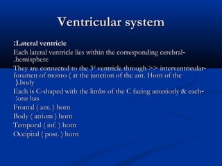 Radiological anatomy & Techniques of the Ventricular system | PPT | Brain and Nervous System ...