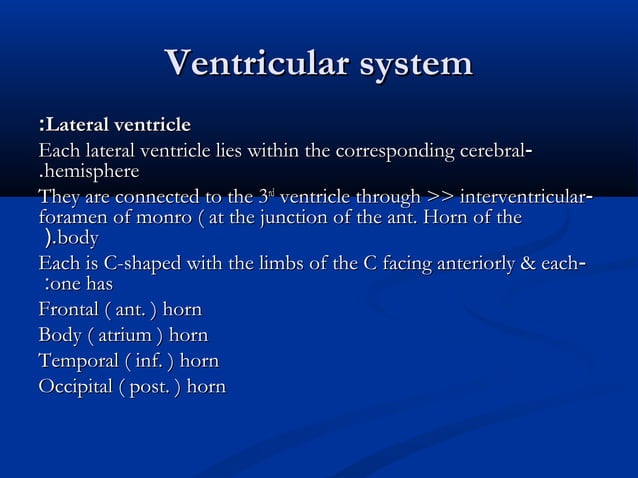 Radiological anatomy & Techniques of the Ventricular system | PPT | Brain and Nervous System ...