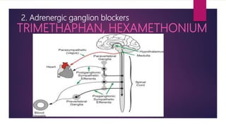Antihypertensive agents | PPT