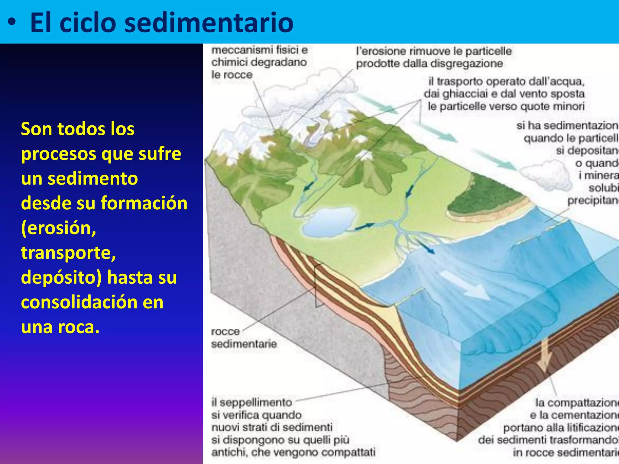 Origen de las rocas sedimentarias | PDF